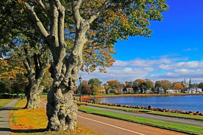 Shore Excursion: Charlottetown Highlights & Delights - What Travelers Say