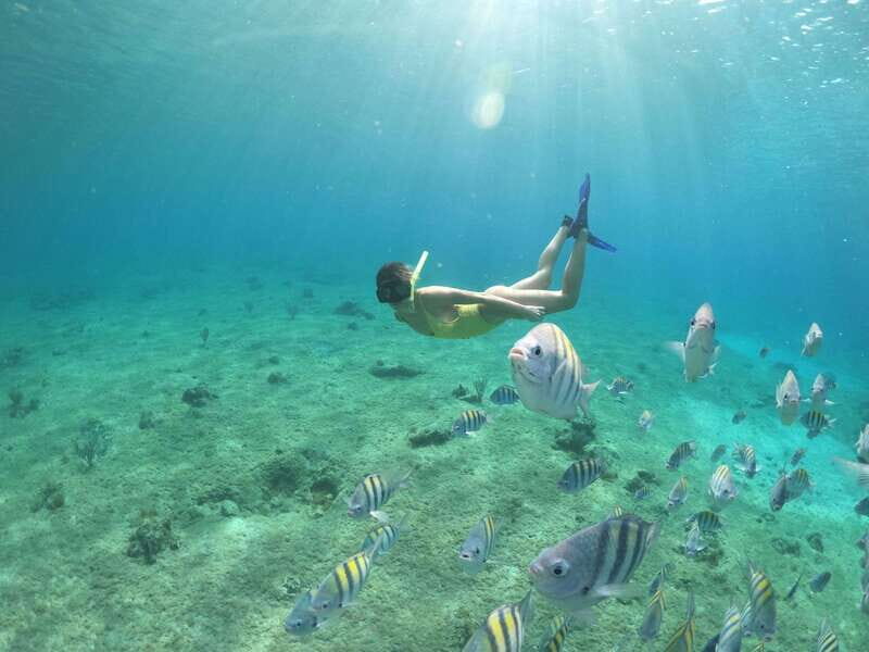 Shore Excursion: Clear Boat Tour with Snorkel & Drinks - Discovering Cozumel’s Underwater Charm from a Transparent Vessel