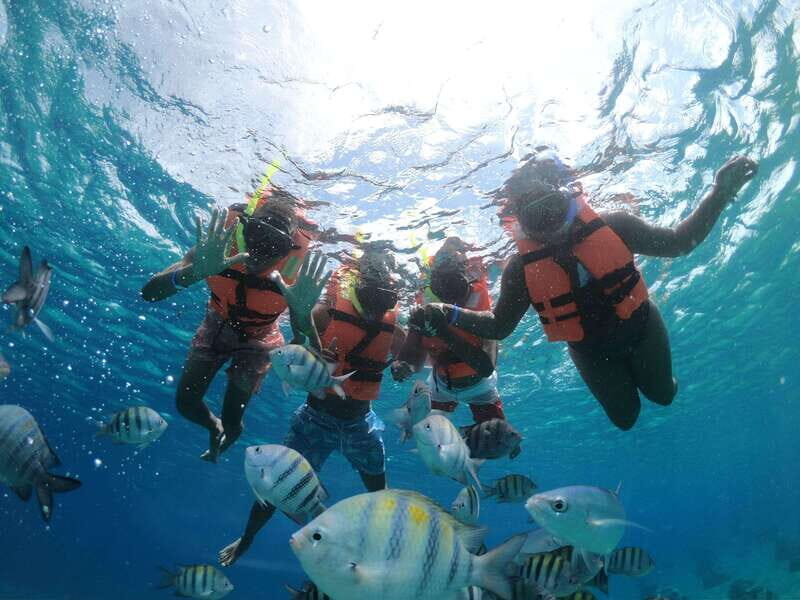 Shore Excursion: Clear Boat Tour with Snorkel & Drinks - Real-World Traveler Feedback