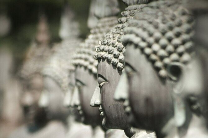 Shore Excursion Colombo City tour - Who Will Benefit Most?