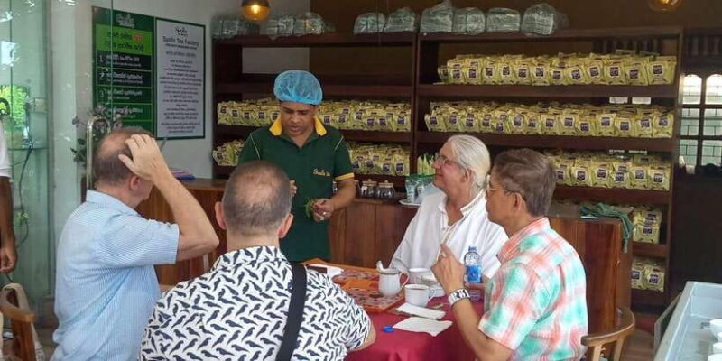 Shore Excursion Colombo Highlight Tour from Passenger Pier. - Key Points