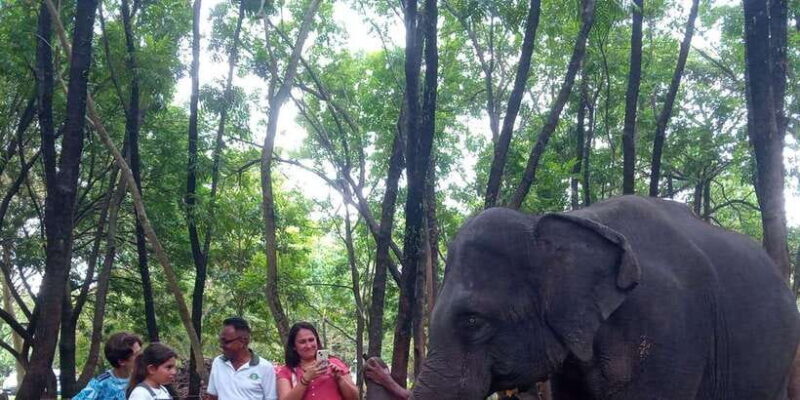 Shore Excursion Colombo Highlight Tour from Passenger Pier. - What to Expect from the Experience