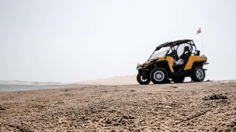 Shore Excursion: Cozumel Island Buggy Tour & Beach Visit - Authentic Experience and Local Insights