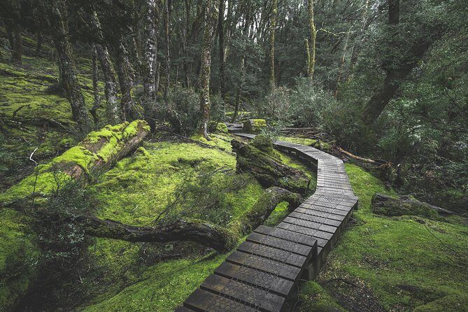 Shore Excursion - Cradle Mountain Shuttle Bus from Burnie - Who Should Book This Tour?