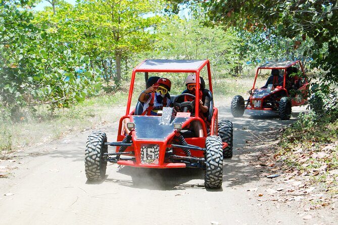 Shore Excursion Cruise ship Waterfalls y Buggys - The Buggy Experience