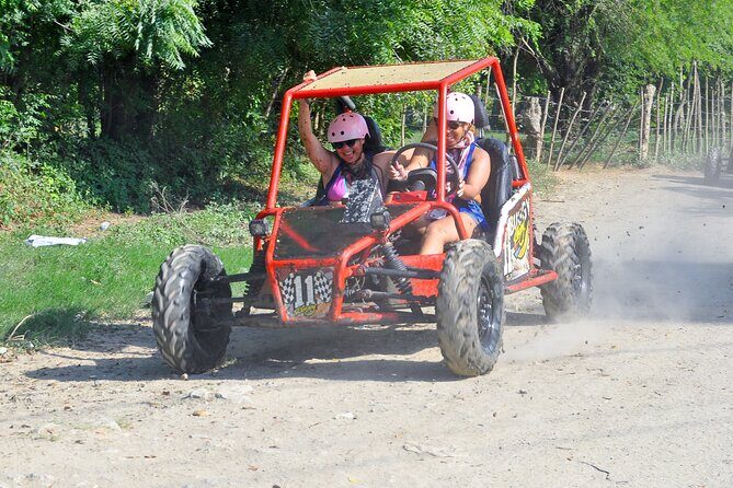 Shore Excursion Cruise ship Waterfalls y Buggys - Who Should Book This Tour?