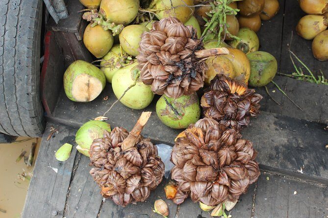 Shore Excursion: Discover Mekong Local Life - Transportation and Pacing