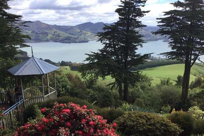 Shore Excursion: Dunedin City, Otago Peninsula, Castle Gardens & Olveston Tour - Why Choose This Tour?