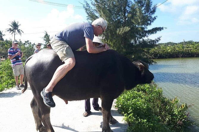 Shore Excursion from CHAN MAY or TIEN SA port to HOI AN COUNTRYSIDE &HOI AN CITY - Who Would Love This Tour?