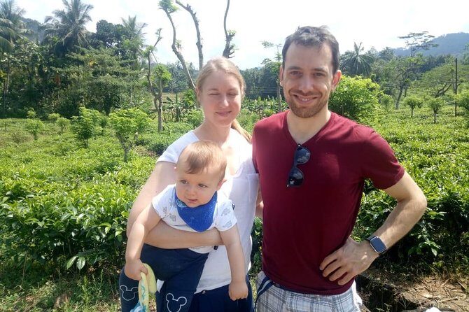 Shore Excursion From Colombo port to Ingiriya Tea Plantation & back for 2 People - What to Expect from the Tour