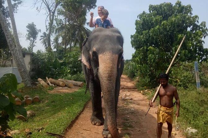 Shore Excursion From Colombo port to Ingiriya Tea Plantation & back for 2 People - Practical Tips for Travelers