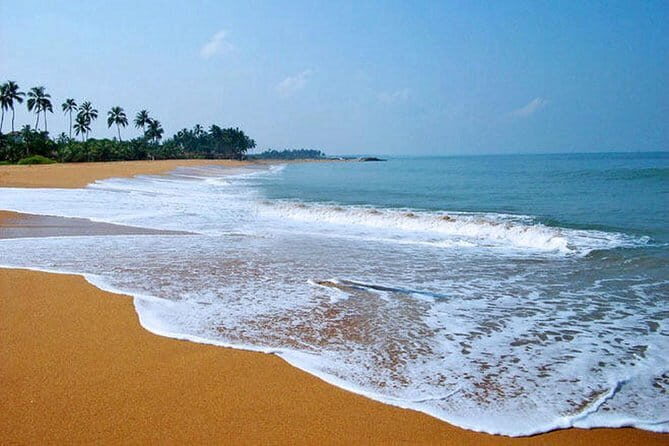 Shore Excursion from Colombo port to Negombo Beach & back for 3 to 4 People - Key Points