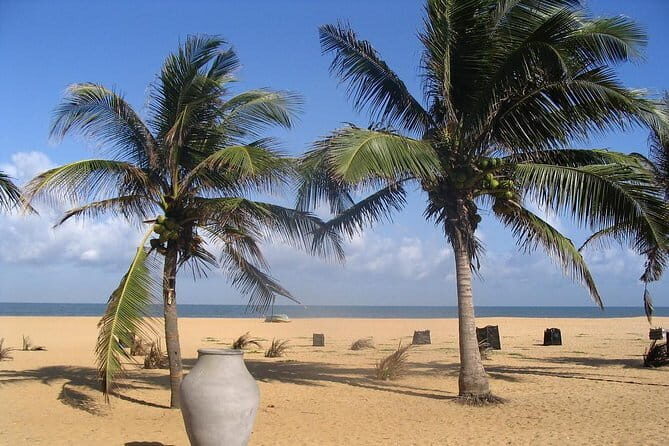 Shore Excursion from Colombo port to Negombo Beach & back for 7 to12 People - Key Points