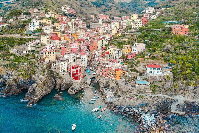 Shore Excursion from Livorno: Cinque Terre and Pisa independent private tour - Insights from Traveler Reviews: Real Feedback