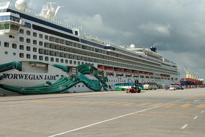 Shore Excursion From Port Klang Cruise Terminal - The Practicalities: Transport, Costs, and Comfort