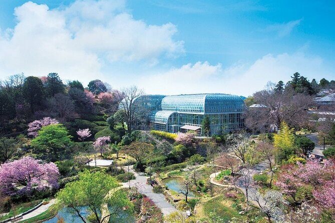 Shore Excursion Full Day Private Kochi Tour from Kochi port - Authentic Experiences and Traveler Feedback