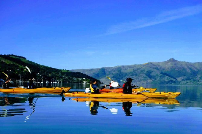Shore Excursion Guided Sea Kayaking through Akaroa Marine Reserve - Discovering the Guided Sea Kayaking Tour in Akaroa Marine Reserve