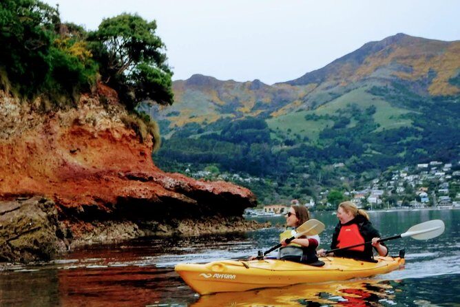 Shore Excursion Guided Sea Kayaking through Akaroa Marine Reserve - Key Points
