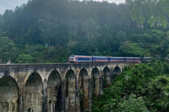 Shore Excursion Hambantota Port to Ella Day Tour (All Inclusive) - The Experience: Pros and Cons