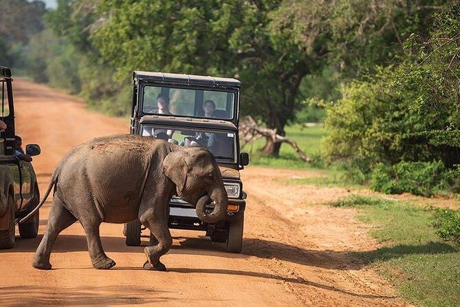 Shore Excursion Hambantota Port to Yala Safari and Come back(All Inclusive) - Practical Details: What You Need to Know