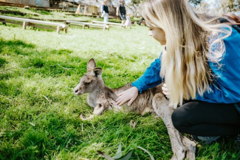 Shore Excursion: Hobart Wanderer - Exploring the Itinerary