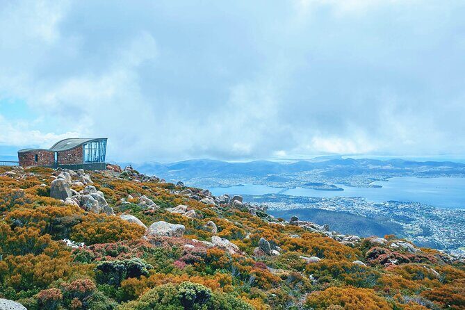 Shore Excursion-Hobart Wanderer - Logistics and Practical Details