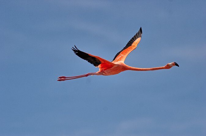 Shore Excursion Island Tour with Cultural Museum with beach drop off - Frequently Asked Questions