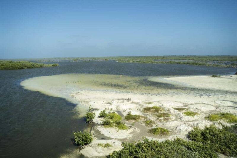 Shore Excursion: Jeep Tour to Punta Sur Park with Lunch - Practical Tips for Making the Most