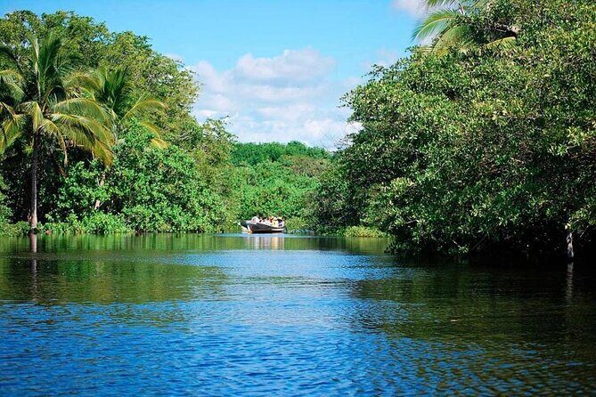 Shore Excursion Mazunte and Ventanilla Crocs & Turtles - Final Thoughts: Is It Worth It?