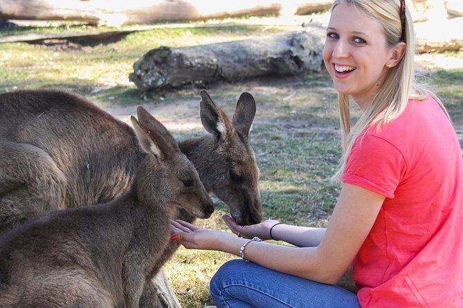 Shore Excursion Melbourne, Sights, Kangaroos, Koalas Lunch & Wine - Why This Tour Works for You