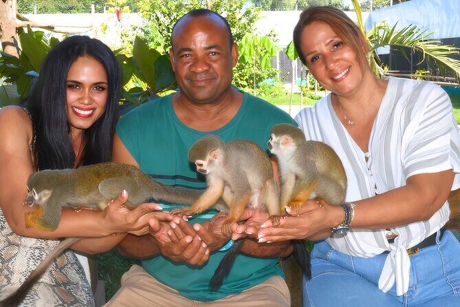 Shore Excursion Monkey Encounter and Puerto Plata City Tour - Introduction