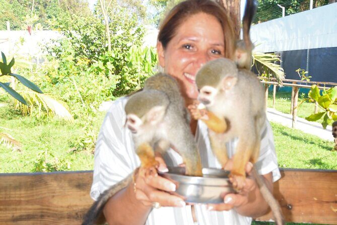 Shore Excursion Monkey Encounter and Puerto Plata City Tour - Who Will Enjoy This Tour?
