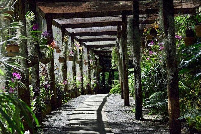 Shore Excursion-Nadi Mudpools,Sleeping Giants Gardens,Markets, Temple & Shopping - An In-Depth Look at What You Can Expect