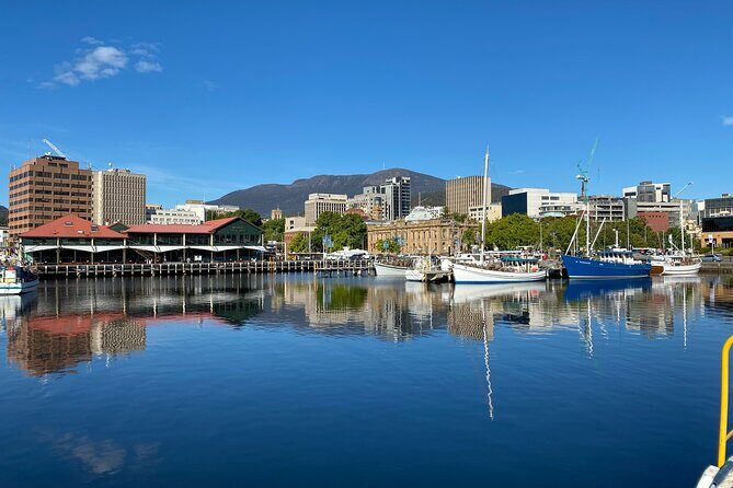 Shore Excursion: Nipaluna (Hobart) Highlights - Final Thoughts