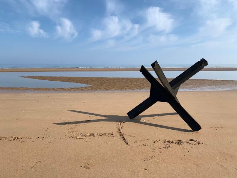 Shore excursion Normandy Private Tour with a Licensed Guide - Why This Tour Offers Great Value