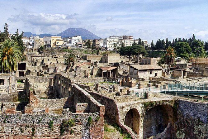 Shore excursion of Pompeii, Vesuvius, Herculaneum. - Who This Tour Is Perfect For