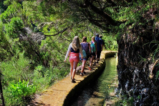 Shore Excursion Porto Moniz - Enchanted Terraces 4x4 tour - A Closer Look at the Itinerary