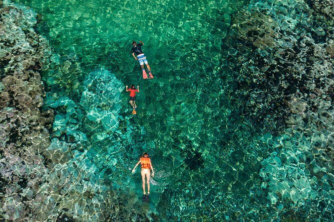 Shore Excursion Premium Family Snorkeling Experience - Who Would Enjoy This Tour?