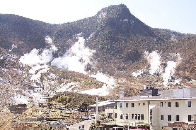 Shore Excursion Private Mt Fuji and Hakone Tour from Shimizu Port - The Sum Up