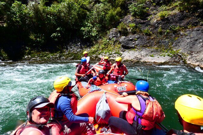 Shore Excursion: Scenic Rafting from Napier - The Real Traveler Perspectives