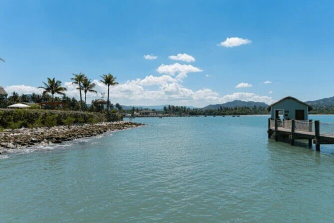 Shore Excursion Small Group Damajagua Falls with Rum Punch - Who Will Love This Tour?