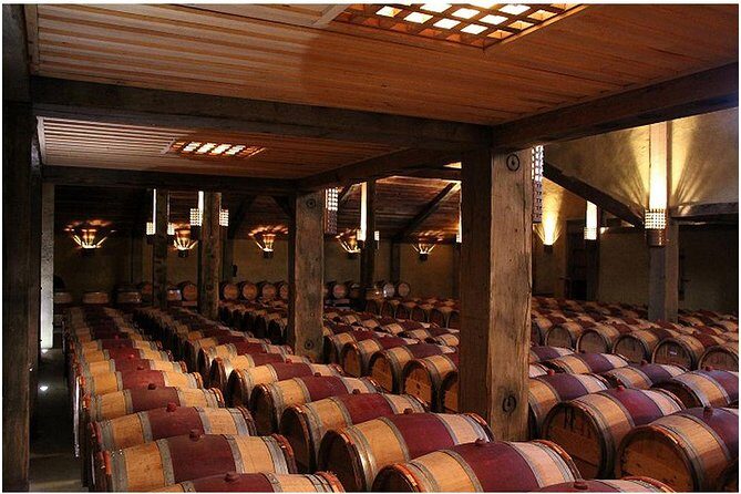 Shore Excursion: Small group Napier, Art Deco & Wineries tour - Why This Tour Offers Strong Value