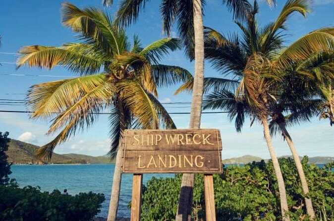 Shore Excursion: Small Group St Thomas Highlights Tour - Who Will Love This Tour?