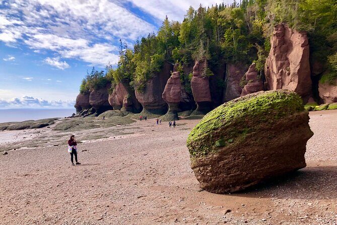 Shore Excursion to Hopewell Rocks and Fundy National Park - Real Traveler Insights