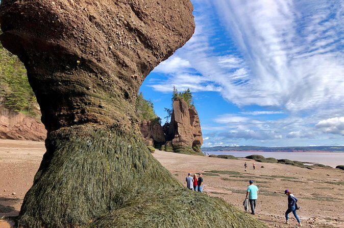 Shore Excursion to Hopewell Rocks and Fundy National Park - FAQ