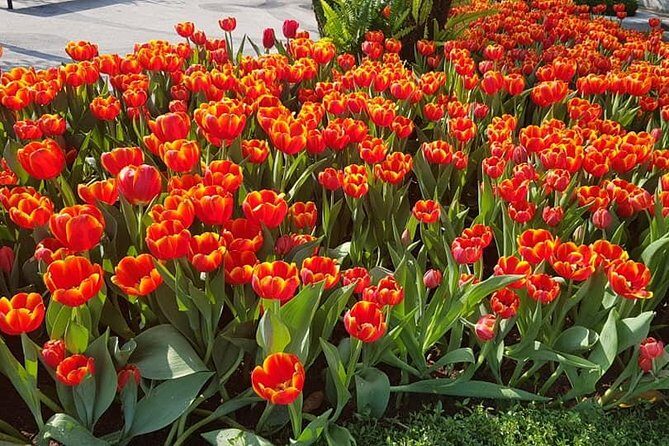 Shore Excursion toGolden Bridge, Dragon Bridge,Marble Mountain TIEN SAorCHAN MAY - Whats Included and What’s Not