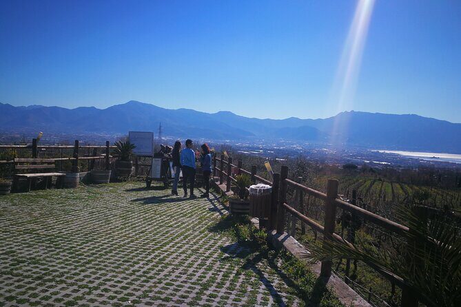 Shore excursion Vesuvius and Pompeii site. - Key Points
