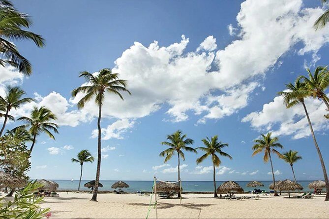 Shore Excursion: Viva Wyndham Resort For The Day With Unlimited Food & Drinks - Who Will Love This Day Trip?