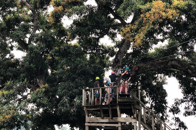 Shore Excursion: Zip Line Adventure - Final Thoughts