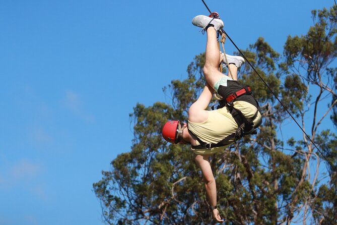 Shore Excursion Zipline Tour for Pride Of America Passengers - Final Thoughts